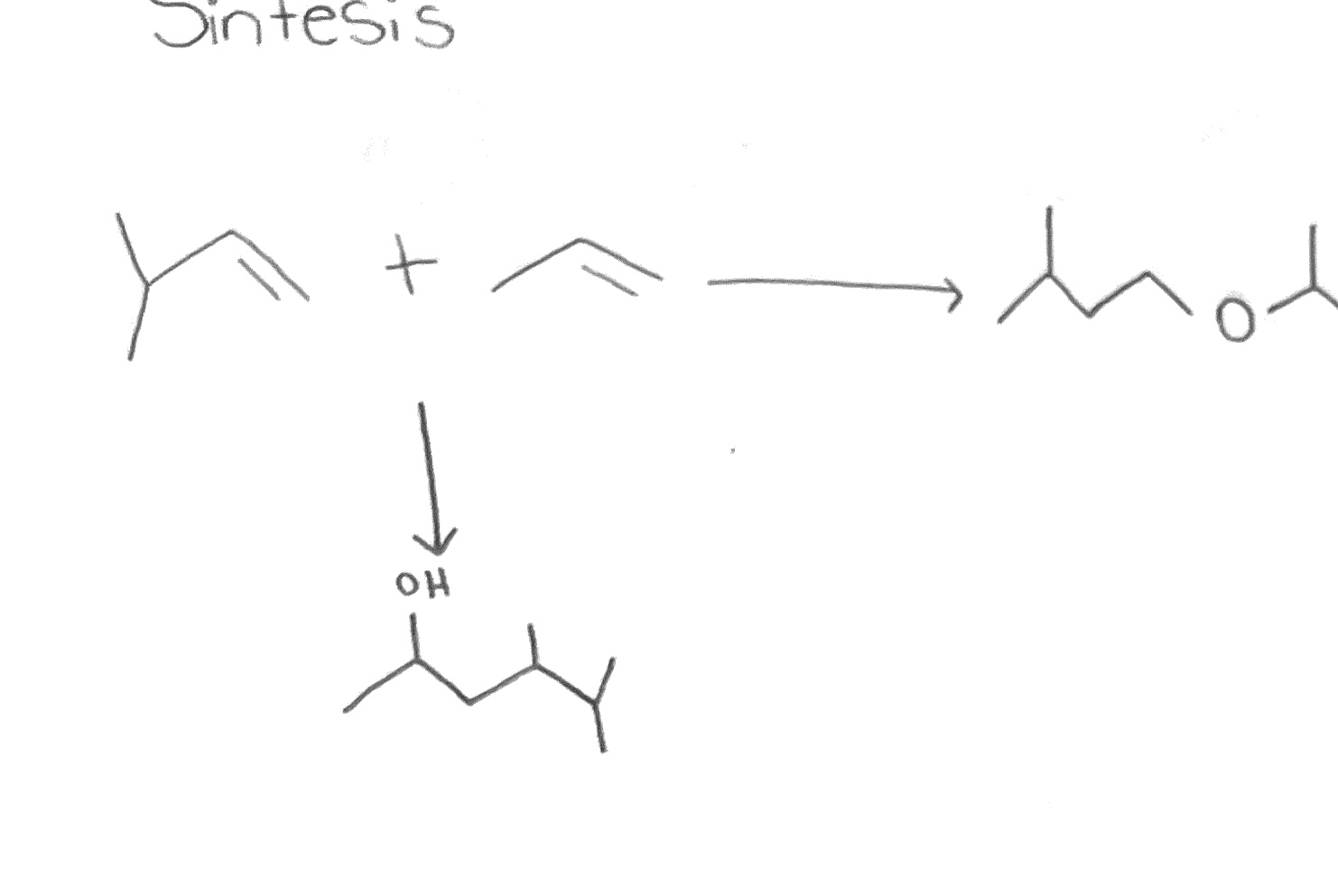 Solved Sintesis | Chegg.com