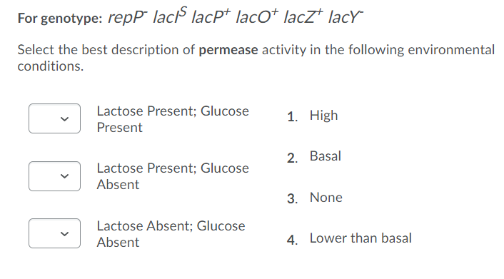 Solved Lac Operon 9 For the following genotypes indicate | Chegg.com