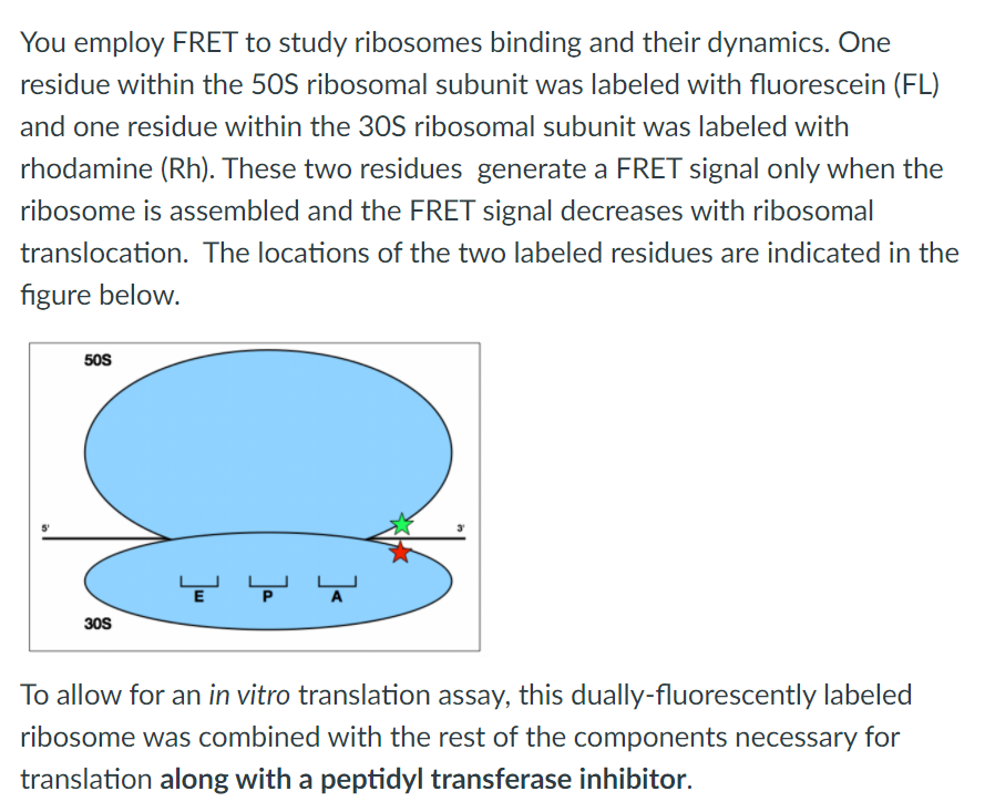 Solved You employ FRET to study ribosomes binding and their | Chegg.com