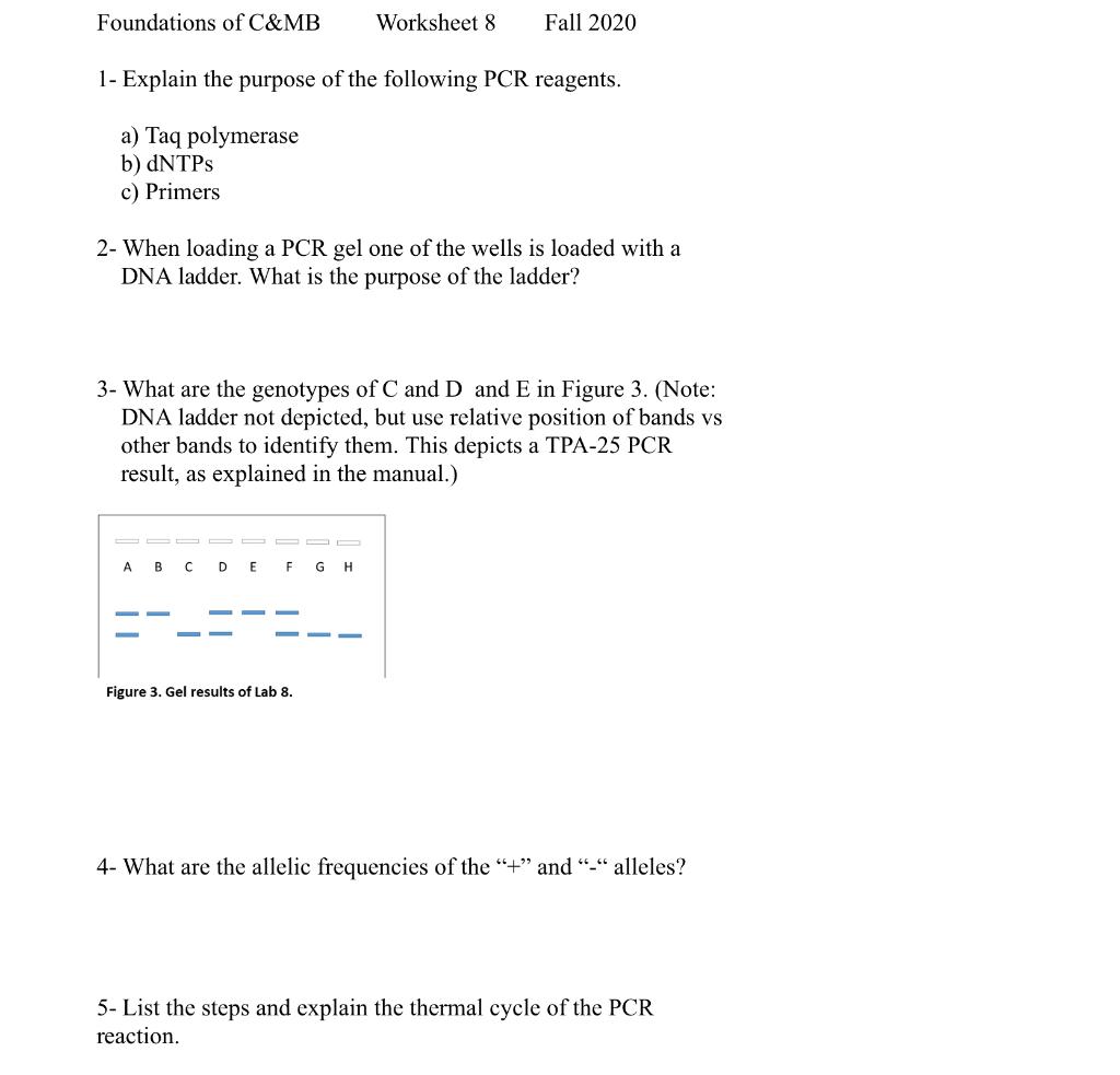 Solved Foundations of C&MB Worksheet 8 Fall 2020 1- Explain | Chegg.com