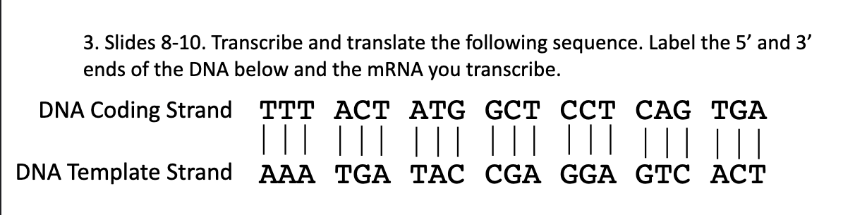 Solved 3. Slides 8-10. Transcribe and translate the | Chegg.com Solved 3. Slides 8-10. Transcribe and translate the | Chegg.com