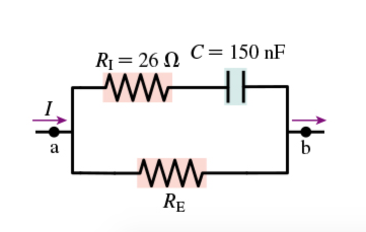Solved As (Figure 1) shows, a single cell in a sample of | Chegg.com
