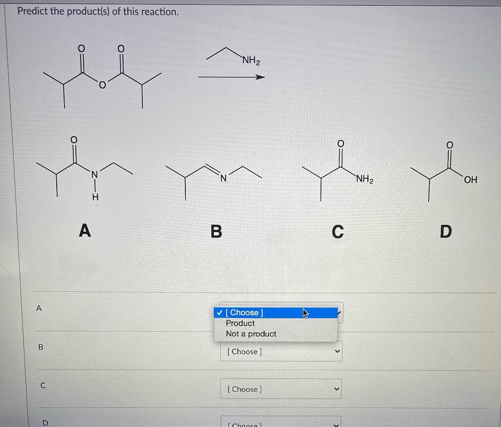 Solved Predict the product(s) of this reaction. OE NH2 O NH2 | Chegg.com