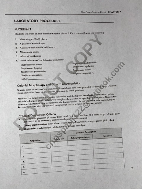 Solved The Gram-positive Coco CHAPTER 7 LABORATORY PROCEDURE | Chegg.com