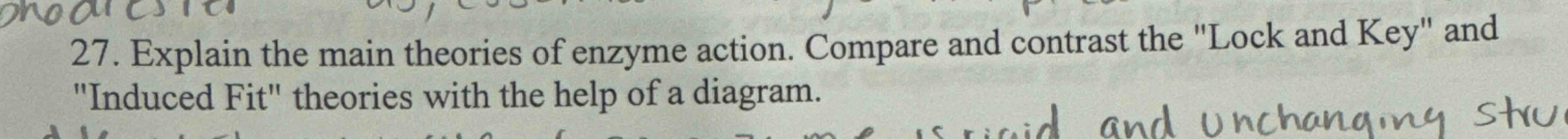 Solved 27. ﻿Explain the main theories of enzyme action. | Chegg.com