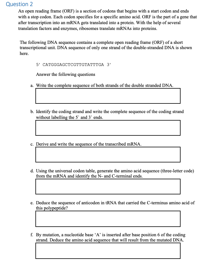 Solved Question 2 An open reading frame (ORF) is a section | Chegg.com