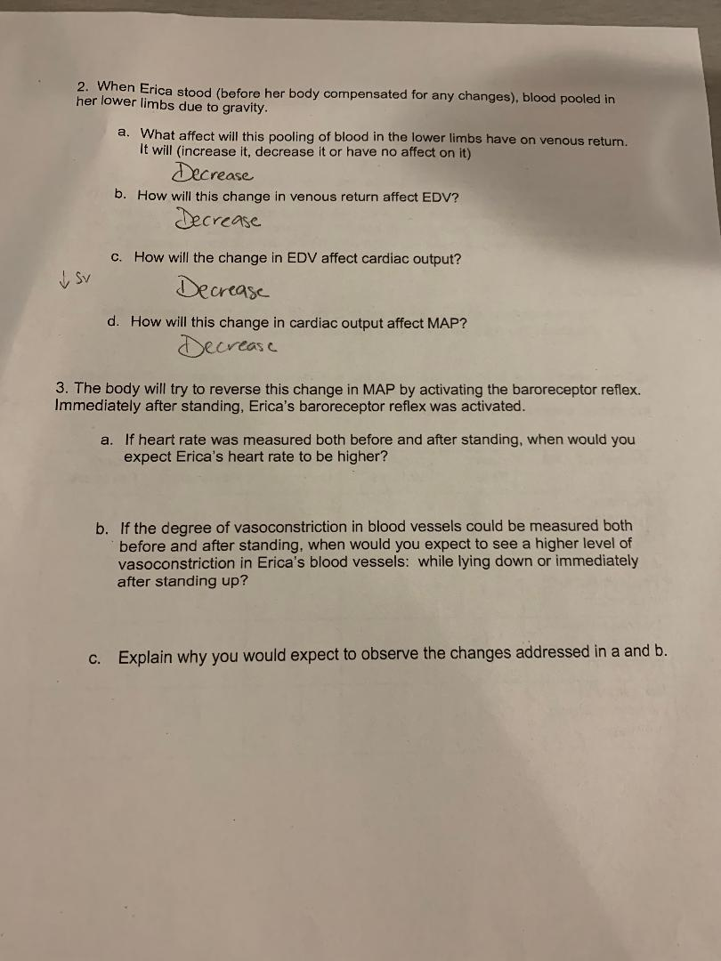Solved 1. What affect will this pooling of blood in the | Chegg.com