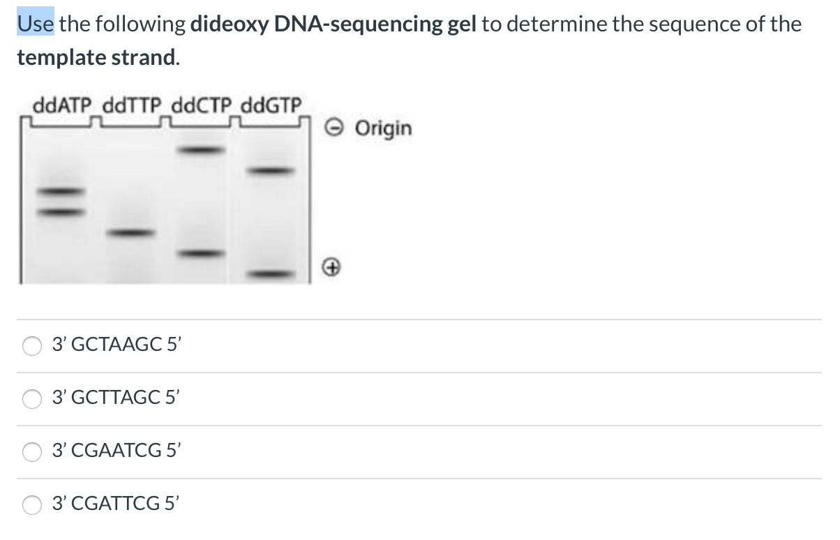 Solved Use the following dideoxy DNA-sequencing gel to | Chegg.com
