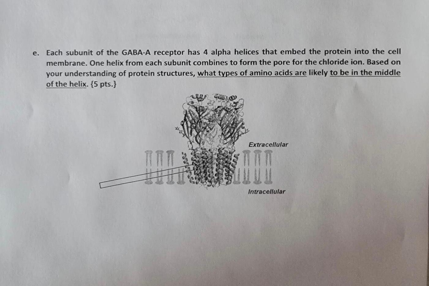 Solved e. Each subunit of the GABA-A receptor has 4 alpha | Chegg.com