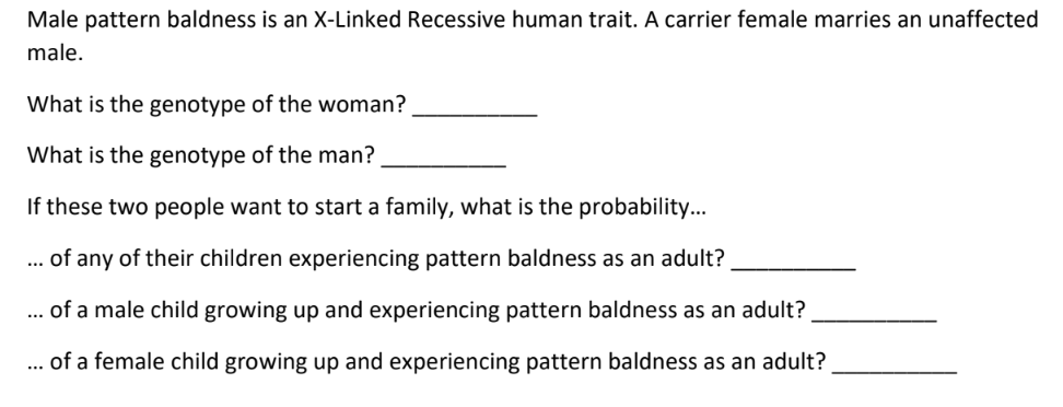 Solved Male pattern baldness is an X-Linked Recessive human | Chegg.com