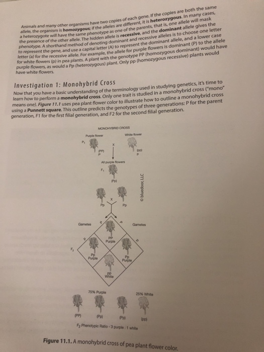 Solved Investigation 2: Patterns of Inheritance - Complete, | Chegg.com