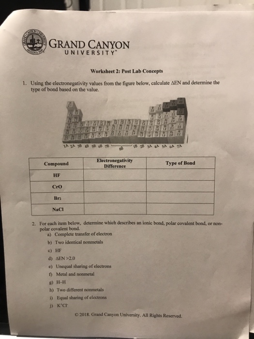 Solved GRAND CANYON UNIVERSITY Worksheet 2: Post Lab | Chegg.com