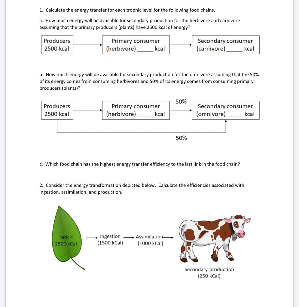 Solved 1. Calculate the energy transfer for each trophic | Chegg.com