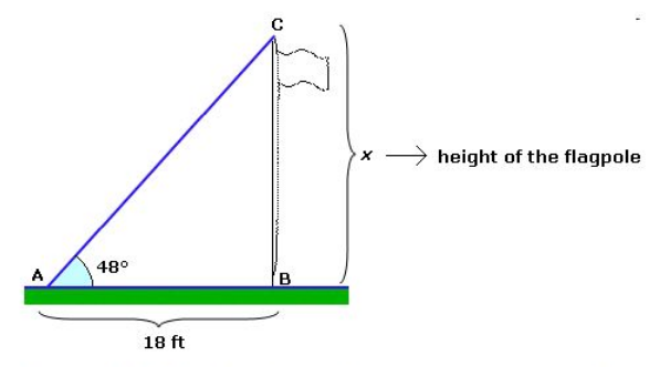 Solved Using the diagram below, find the height of the | Chegg.com