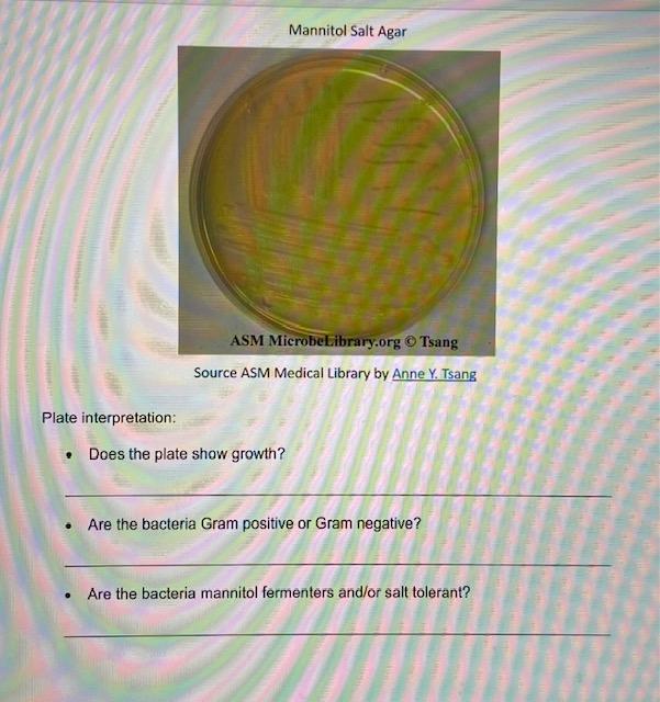Solved Mannitol Salt Agar Source ASM Medical Library by Anne | Chegg.com