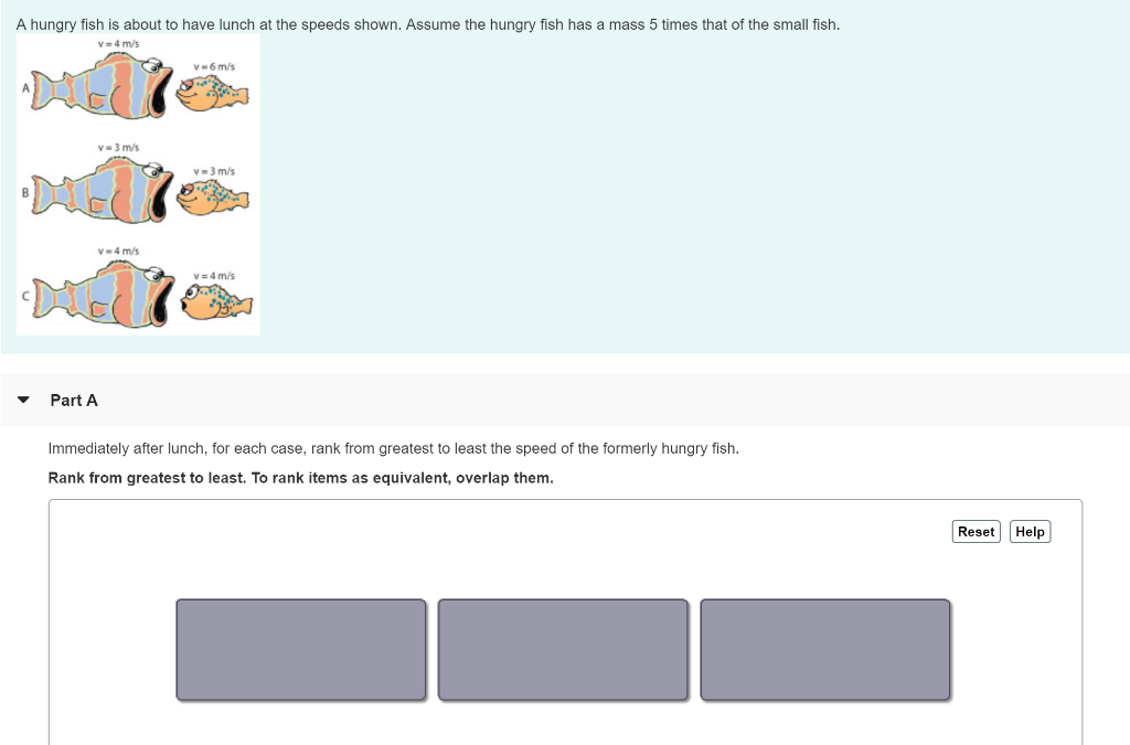 Solved A hungry fish is about to have lunch at the speeds | Chegg.com
