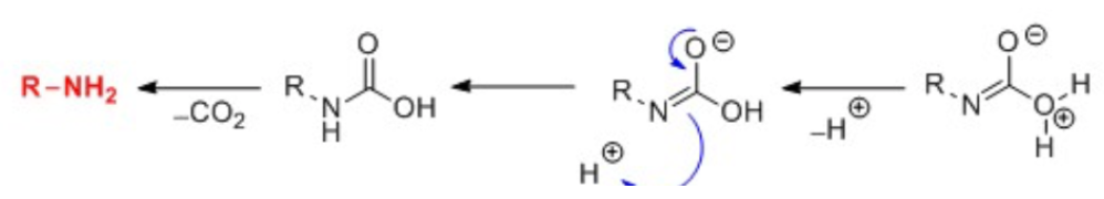 Solved он R-NH2 -СО2 ОН ОН H | Chegg.com