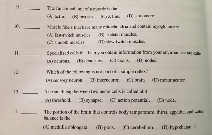 Solved 9. The functional unit of a muscle is the (A) actin. | Chegg.com