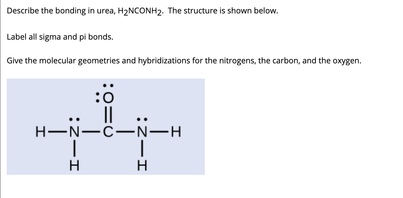Solved Describe the bonding in urea, H2NCONH2. The structure | Chegg.com