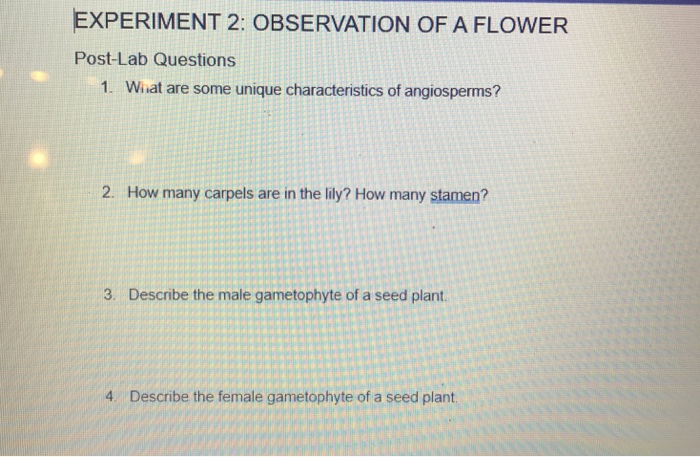 Solved EXPERIMENT 2: OBSERVATION OF A FLOWER Post-Lab | Chegg.com