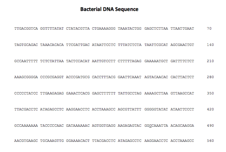Solved The following page contains a bacterial DNA sequence | Chegg.com