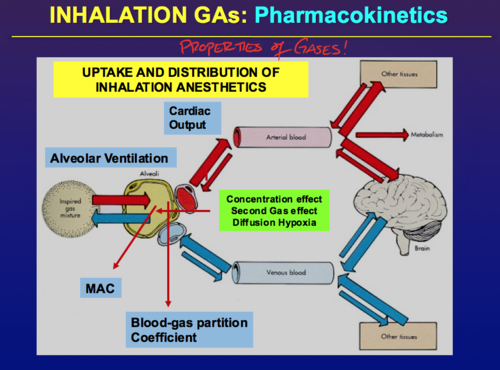 Solved Others INHALATION GAs: Pharmacokinetics PROPERTIES OF | Chegg.com
