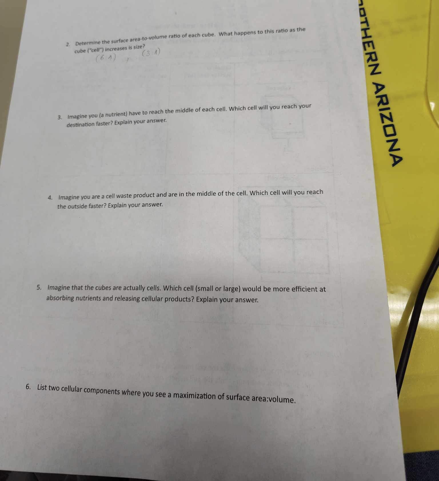Solved Questions 1 Anything That Enters Or Exits The Cell 