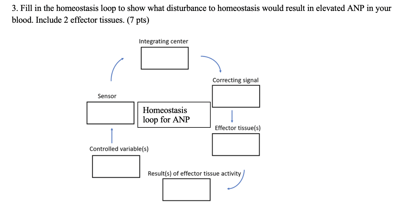 Solved 3. Fill in the homeostasis loop to show what | Chegg.com