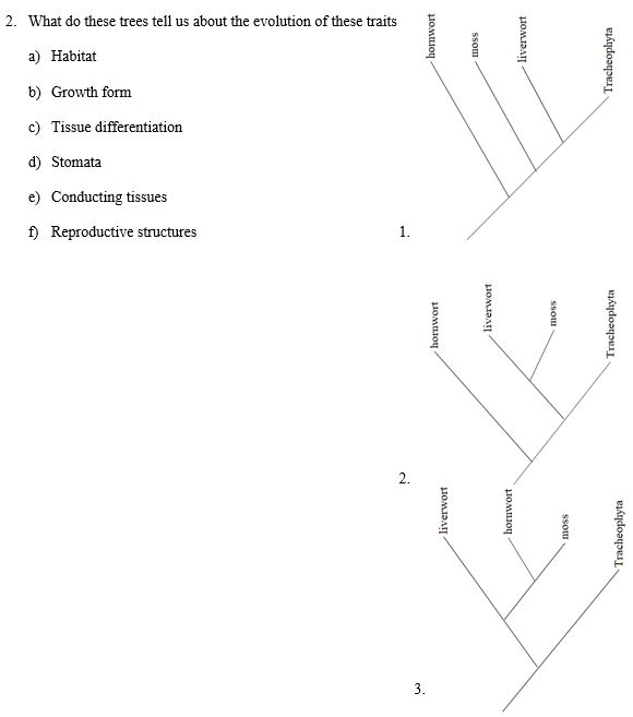 Solved compare the 3 trees and place each trait on the trees | Chegg.com