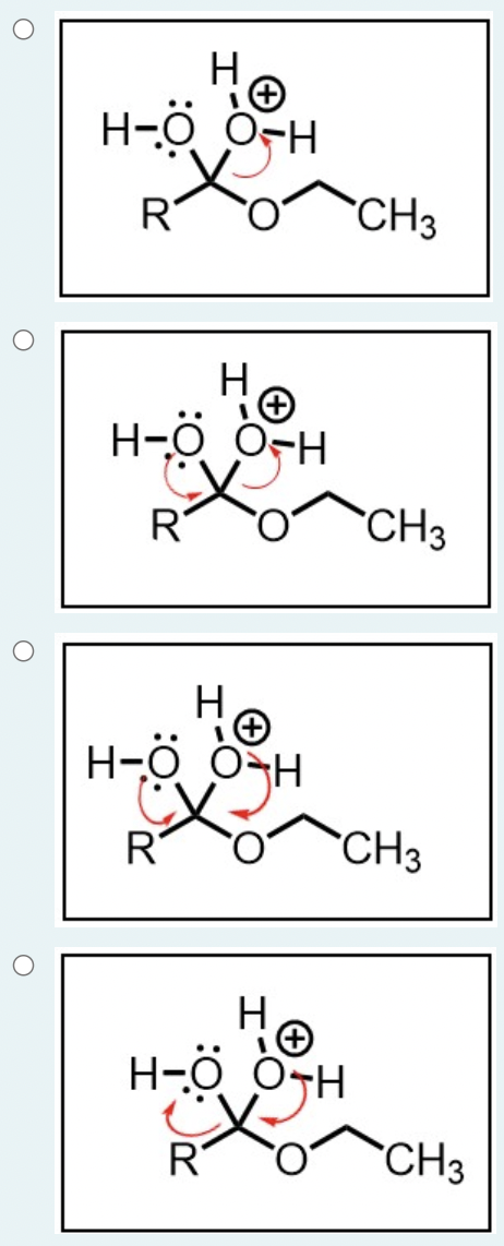 Solved The mechanistic arrow (see p. 32 of your lab manual) | Chegg.com