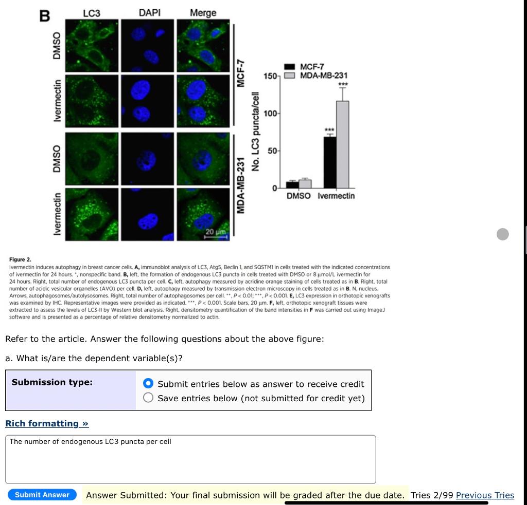 Solved Figure 2. Ivermectin induces autophagy in breast | Chegg.com