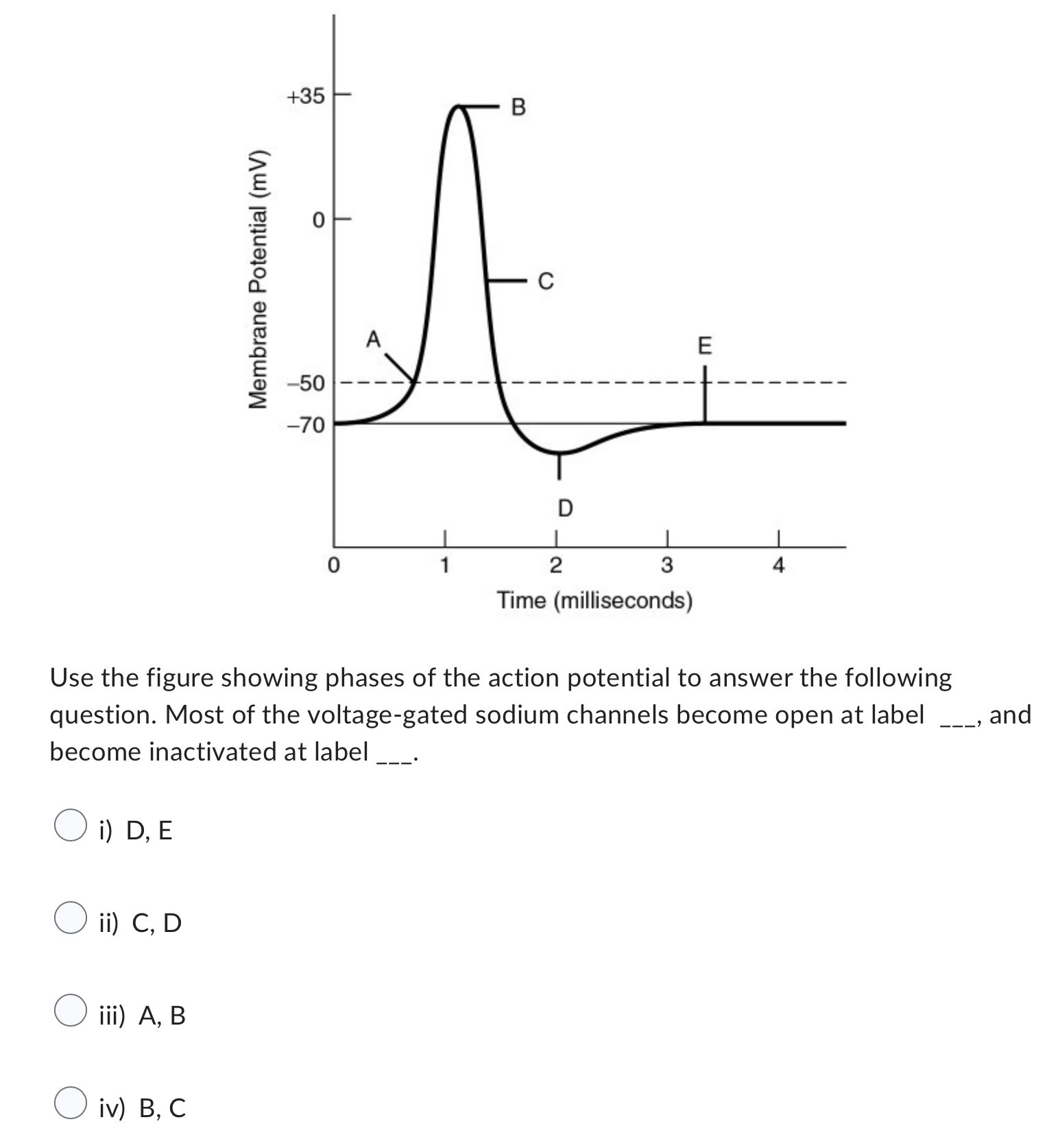 Solved Use the figure showing phases of the action potential | Chegg.com