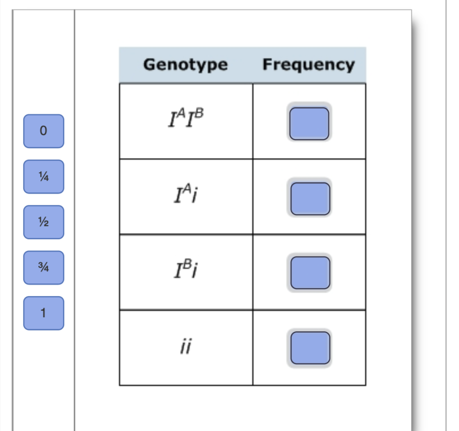 Solved \table[[Genotype,Frequency],[IAIB,],[IAi,],[IBi,],[ii | Chegg.com