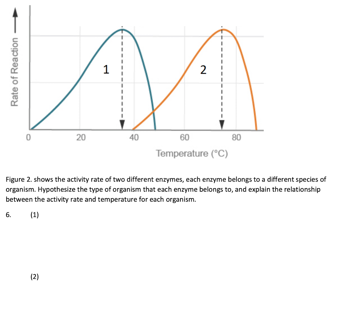 Solved Figure 2. shows the activity rate of two different | Chegg.com