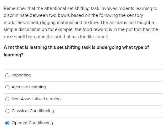 Solved Remember that the attentional set shifting task | Chegg.com