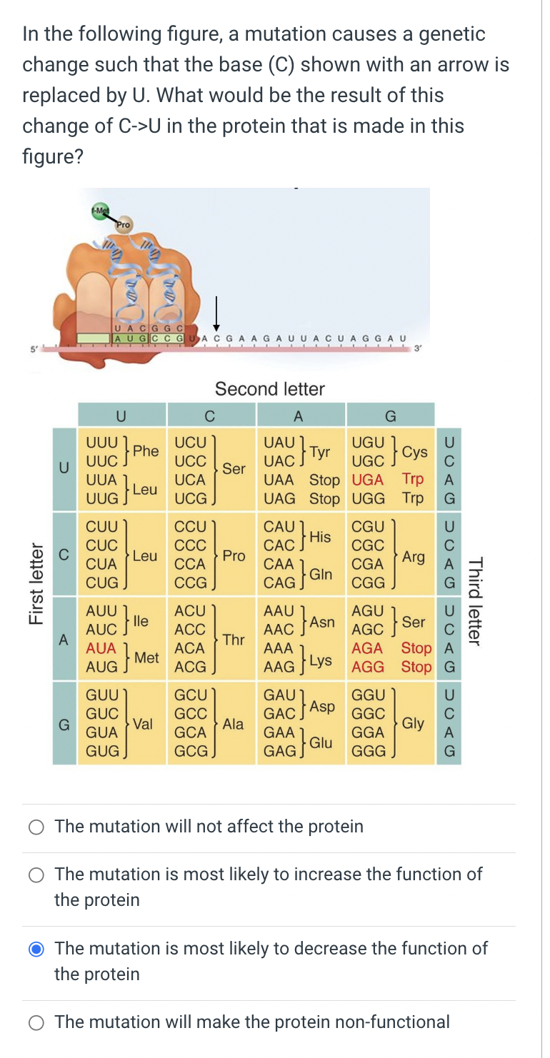 Solved In the following figure, a mutation causes a | Chegg.com