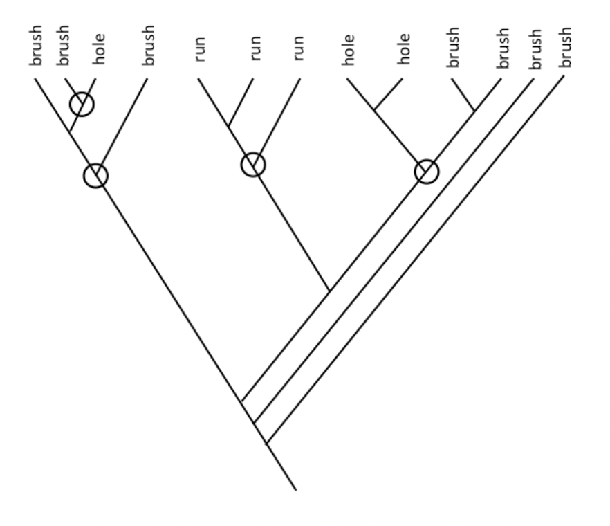 1) ﻿The tree below was produced from DNA sequence | Chegg.com