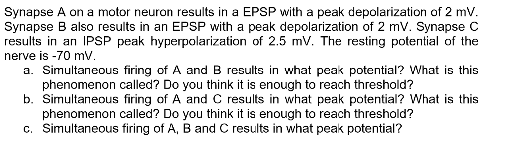 Solved Synapse A on a motor neuron results in a EPSP with a | Chegg.com