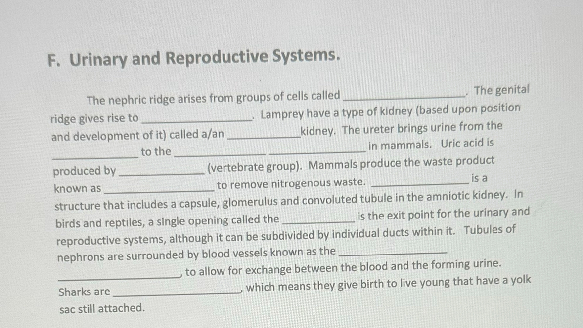Solved F. ﻿Urinary and Reproductive Systems.The nephric | Chegg.com