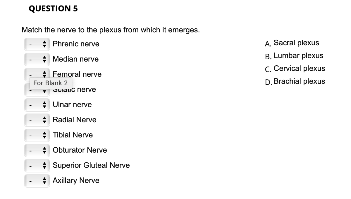 Solved QUESTION 5 Match the nerve to the plexus from which | Chegg.com
