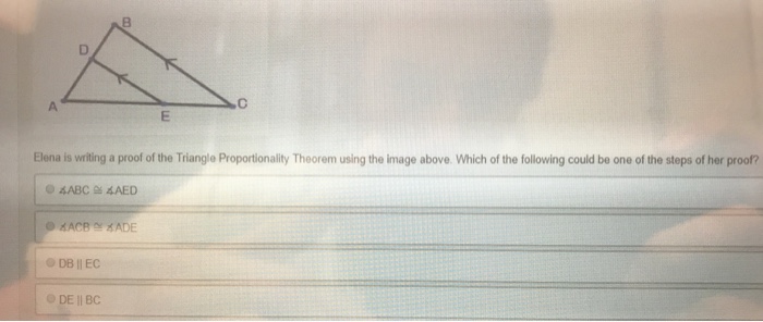 Solved Elena is writing a proof of the Triangle | Chegg.com