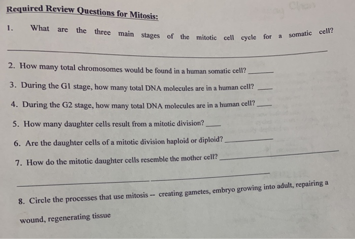 Solved quired Review Questions for Mitosis: 1. What are the | Chegg.com