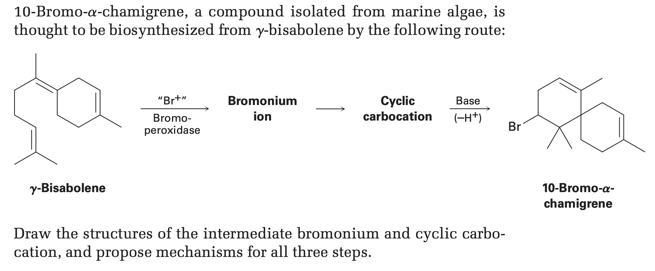 Solved 10-Bromo- α-chamigrene, a compound isolated from | Chegg.com