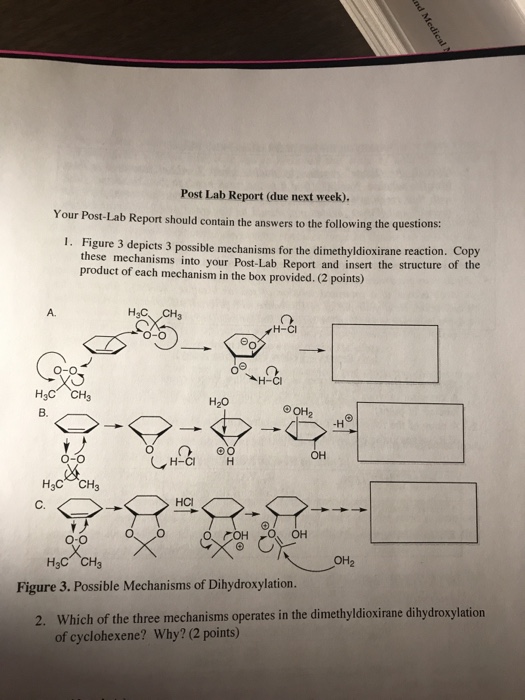 Solved Post Lab Report (due next week). Your Post Lab Report | Chegg.com