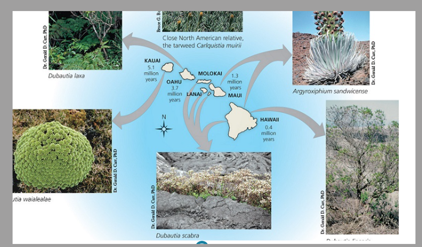 Solved Bruce G.B: Dr. Gerald D. Car, PhD Close North | Chegg.com