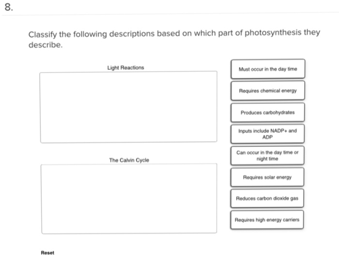 Solved Classify the following descriptions based on which | Chegg.com