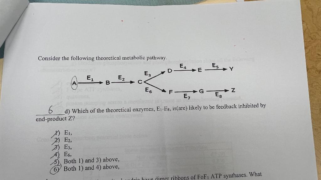 I want an explanation as to why the answer is e1 and | Chegg.com