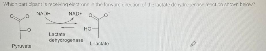 Solved Which participant is receiving electrons in the | Chegg.com