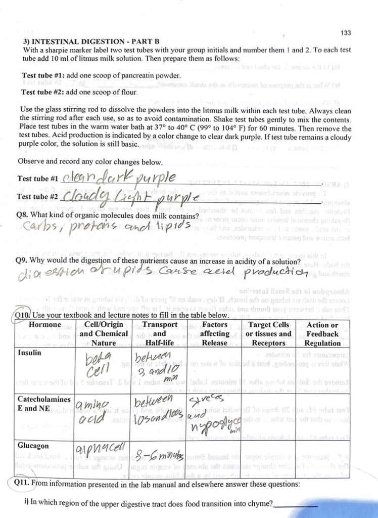 2) INTESTINAL DIGESTION - PART A Digestion begins in | Chegg.com