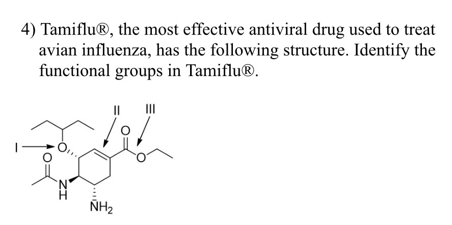 Solved 4) Tamiflu R , the most effective antiviral drug used | Chegg.com